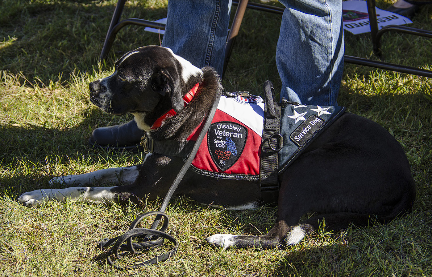 Photo Gallery - Mid-Coast Veterans Council